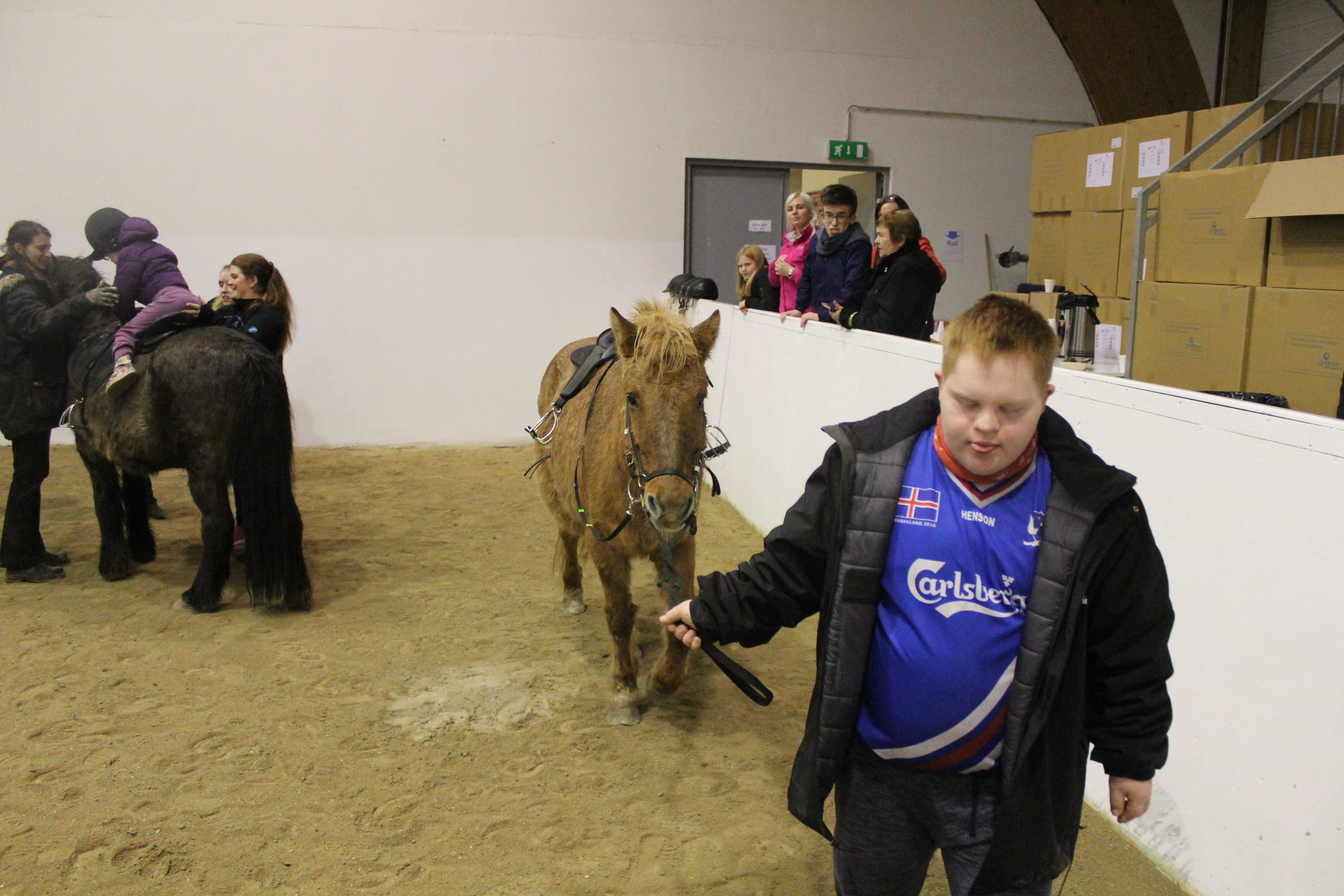 Samstarf um hestamennsku fyrir fatlaða | Vikublaðið